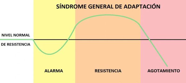 Hans Selye y el estrés – Escuela Bienestar